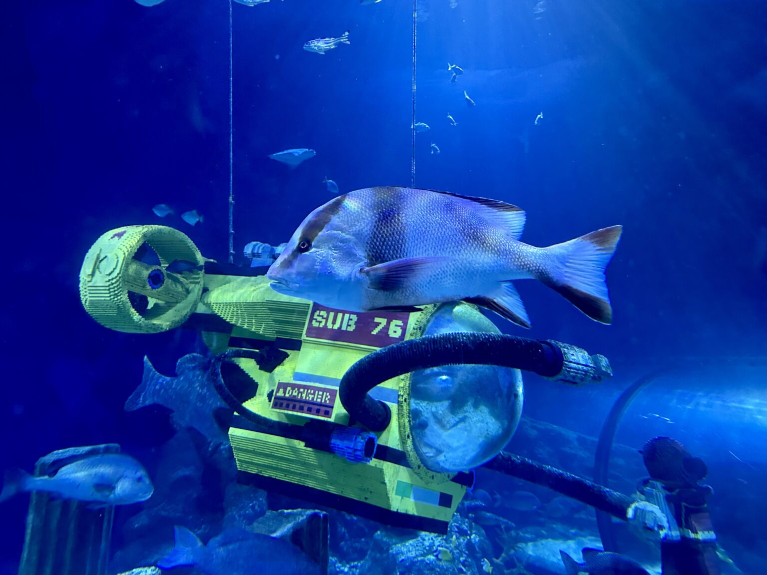 Is LEGOLAND California Resort worth visiting? – On Points With Kids