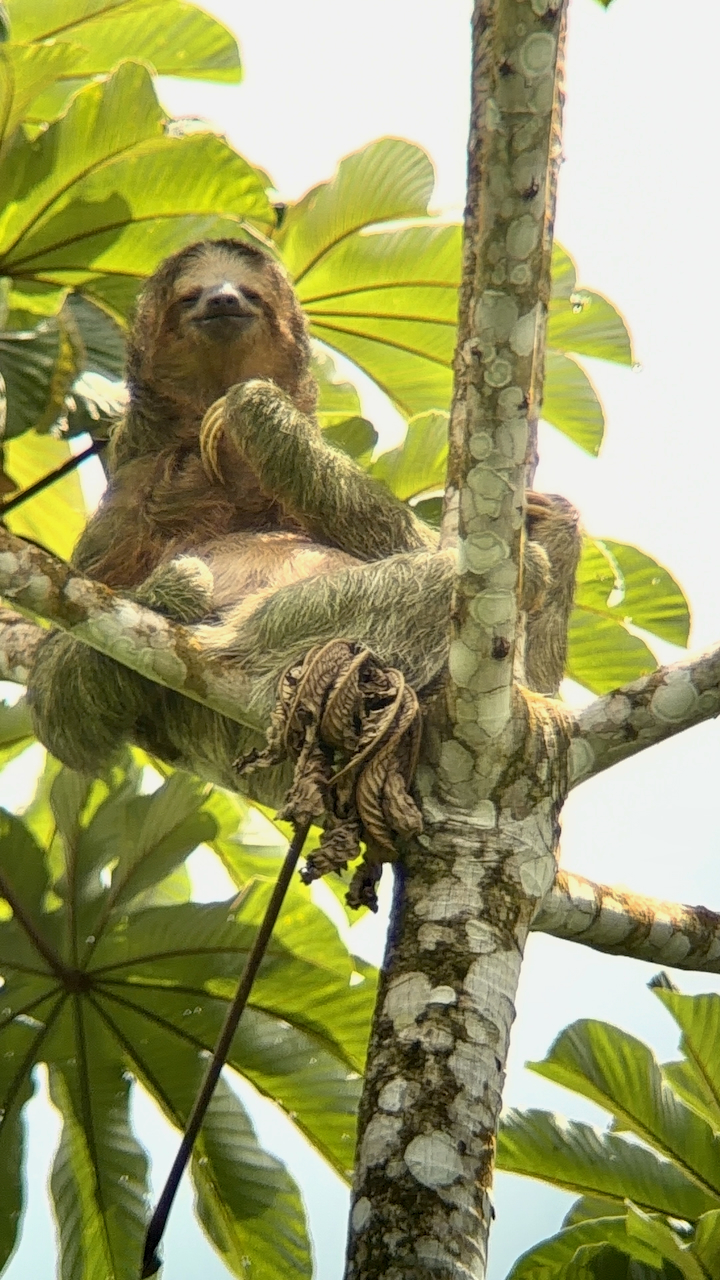 Things to Do in La Fortuna, Costa Rica with Kids: Our Favorite Family ...